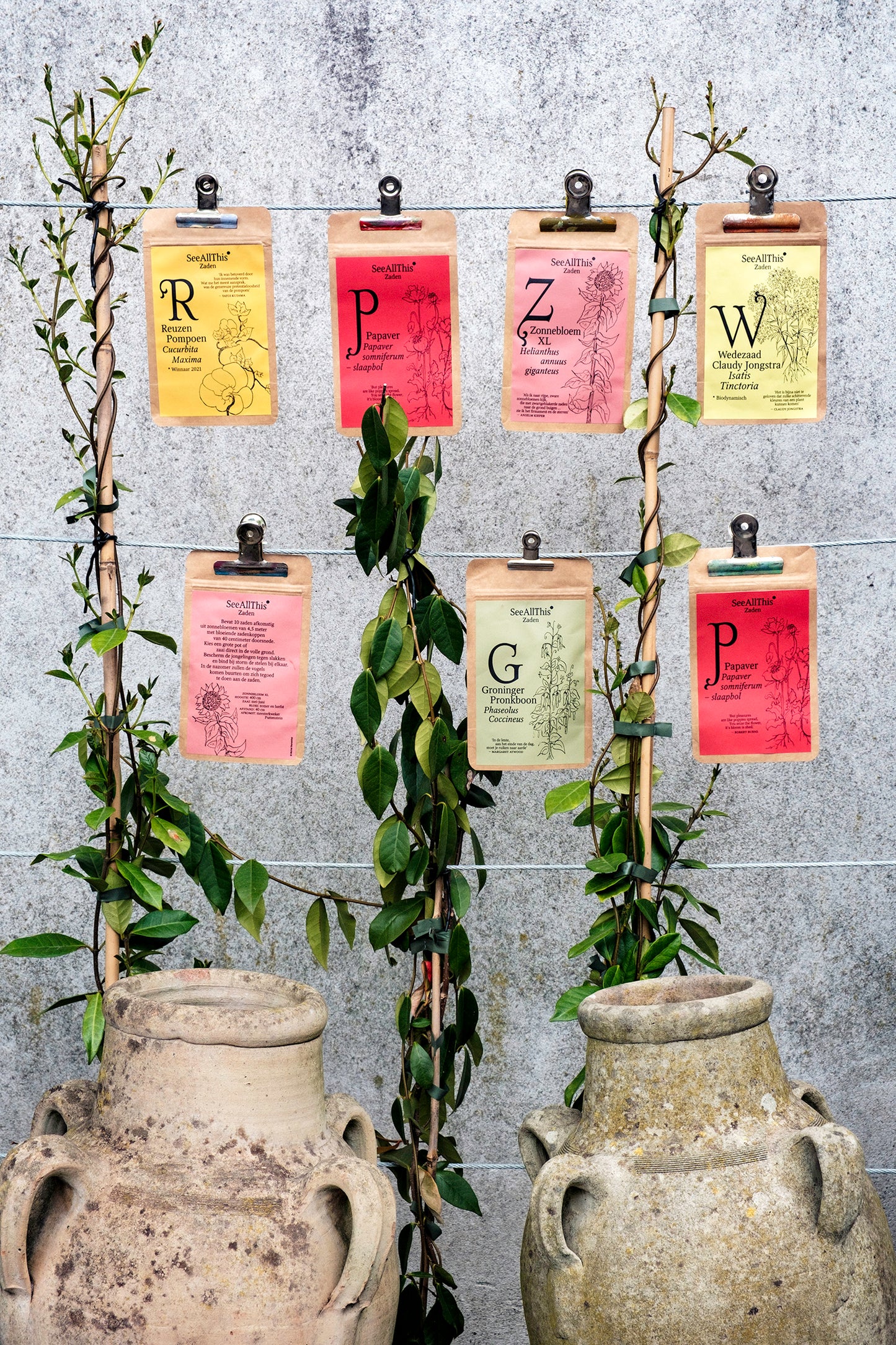 See All This Zaden (meerdere soorten) – See All This Shop